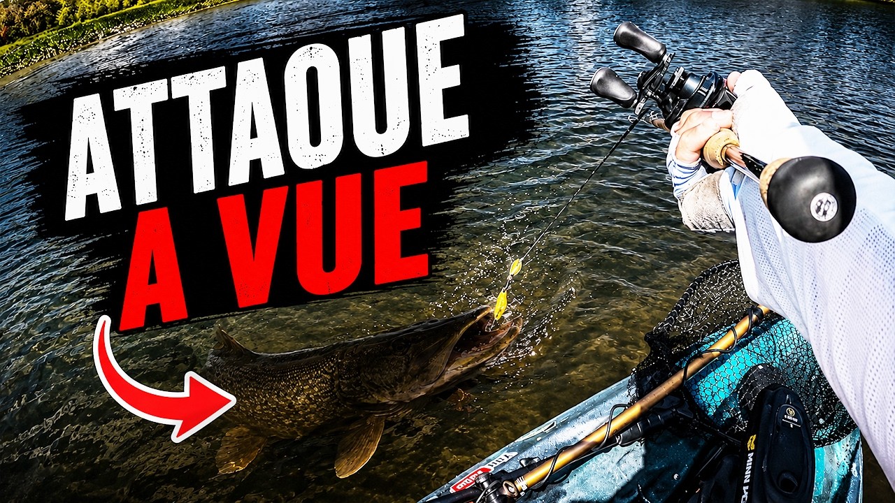 Brochet et achigan en pêche multi espèces au Québec (Rivière des Mille ...