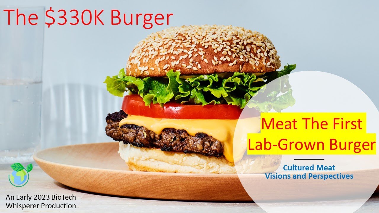 The Expensive Lab-grown Burger Explained in 7 Minutes - YouTube