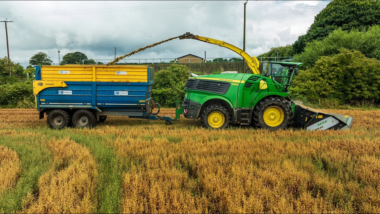 John Deere 9800 | Whole Crop Oats | Silage - YouTube