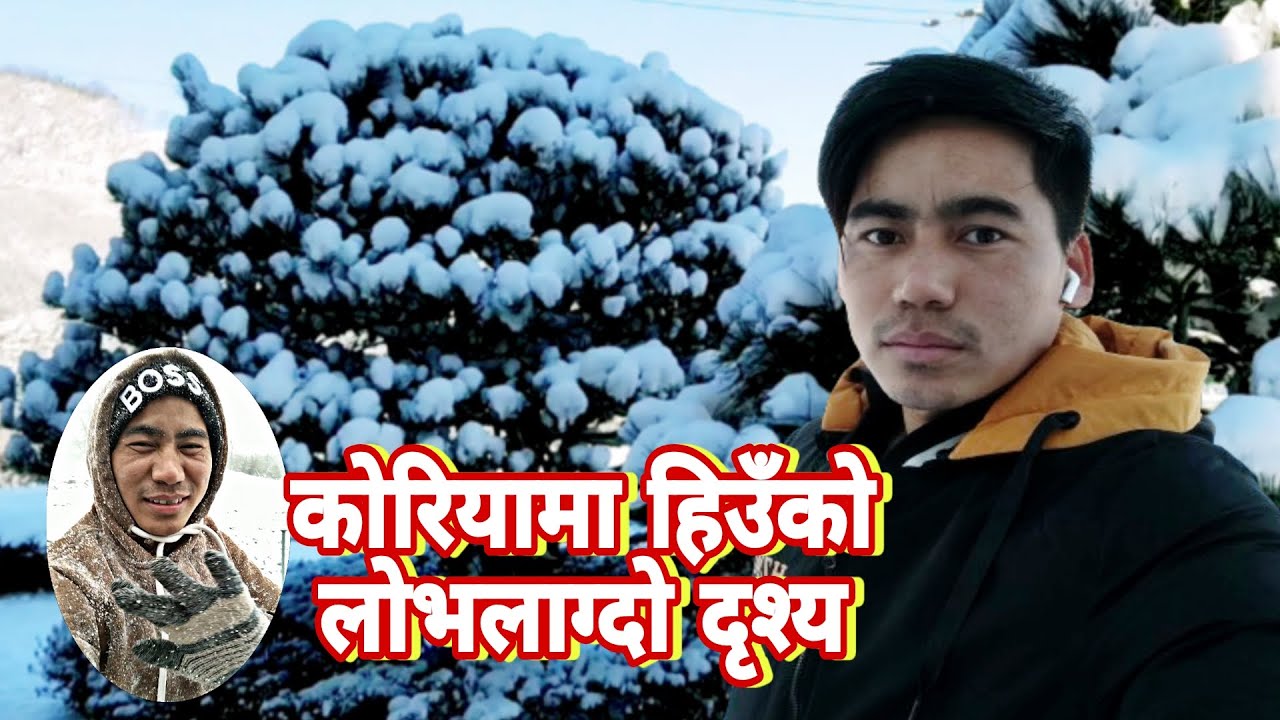 काेरियामा हिउँकाे मनमाेहक दृश्य aaraj entertainment - YouTube
