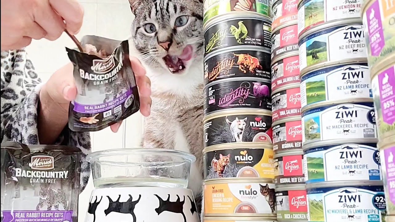 Merrick Backcountry Grain Free Real Rabbit Recipe Cuts in Gravy Wet Cat ...