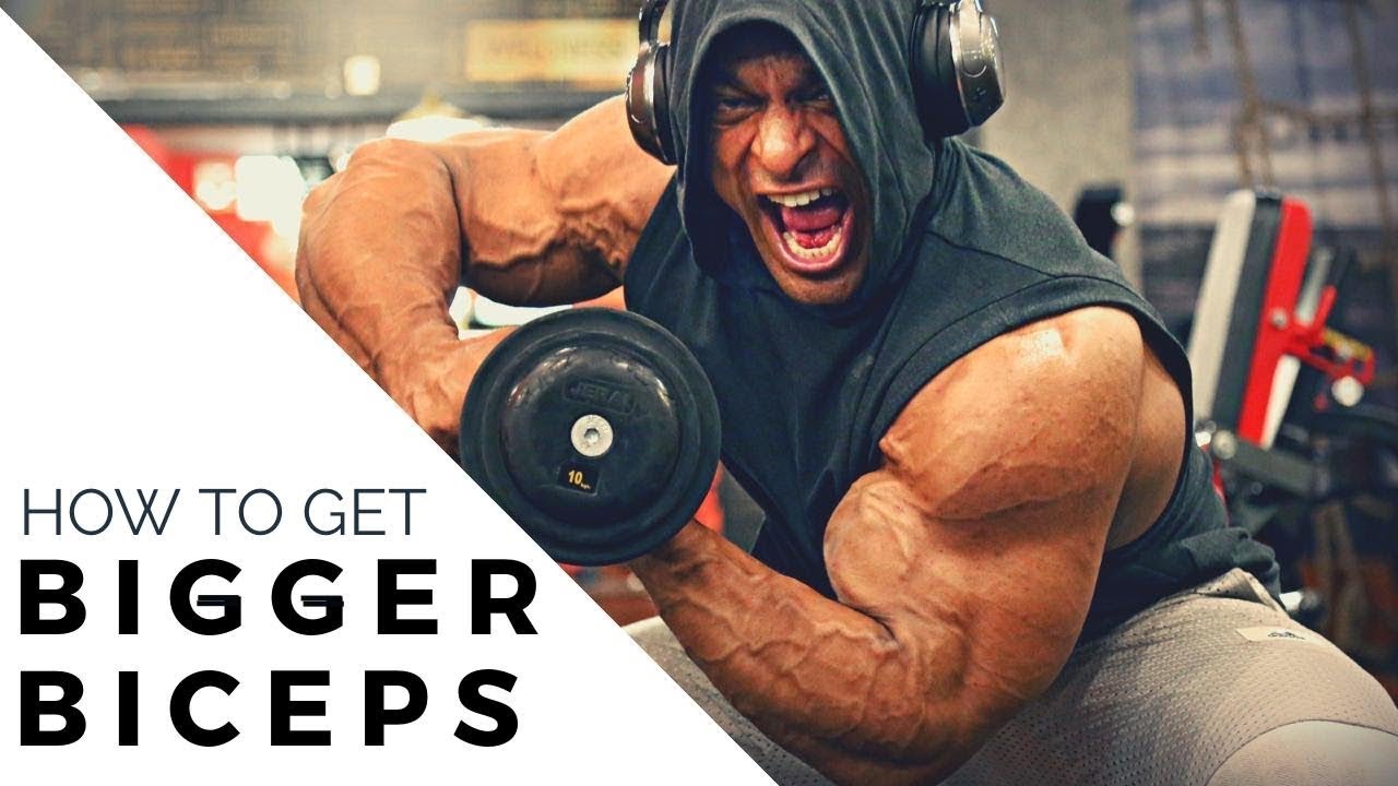 6 BEST Biceps Exercises - YouTube