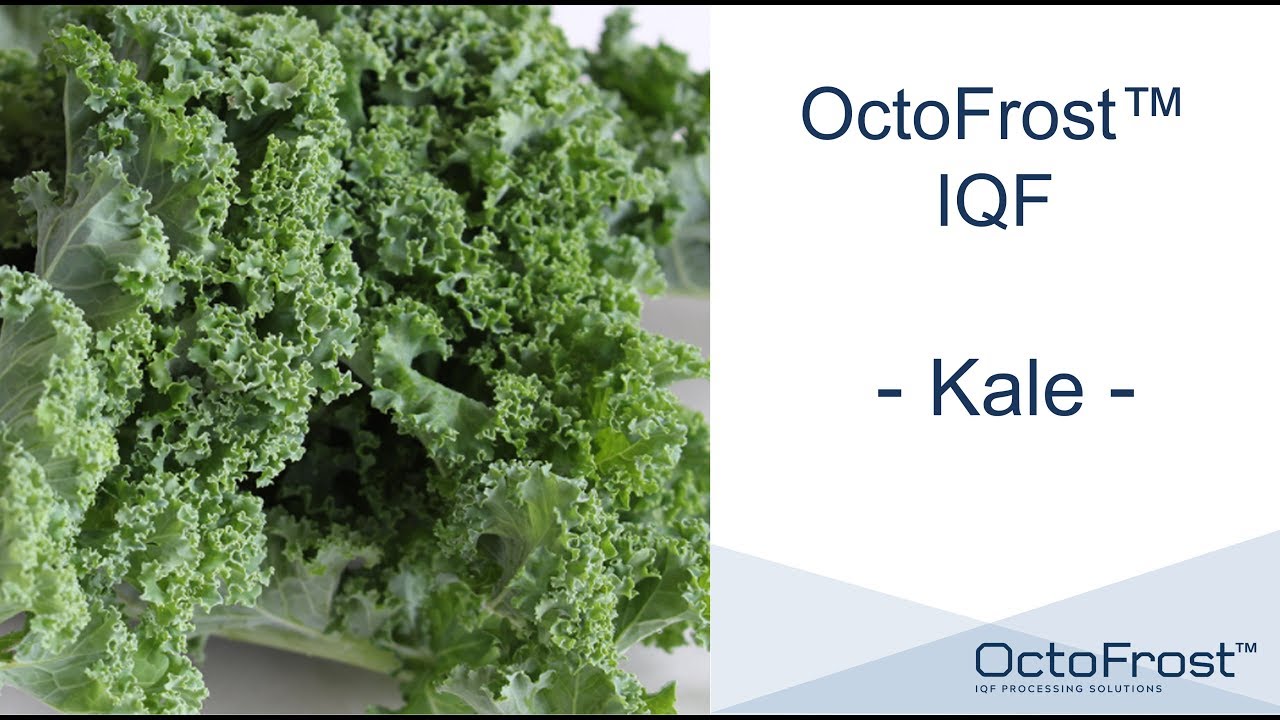 OctoFrost Frozen - IQF Vegetables: Kale | IQF Vegetables Freezer - YouTube