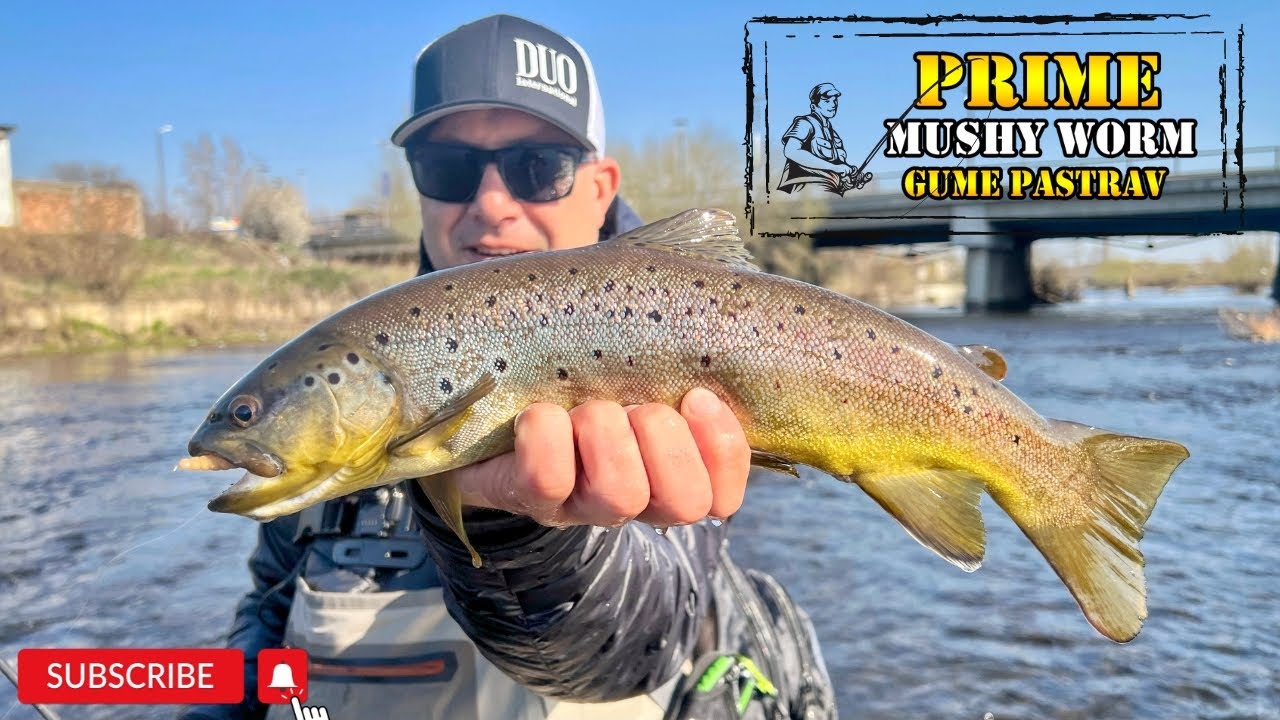 Pescuit la pastrav pe rau. PRIME. HardShop. - YouTube