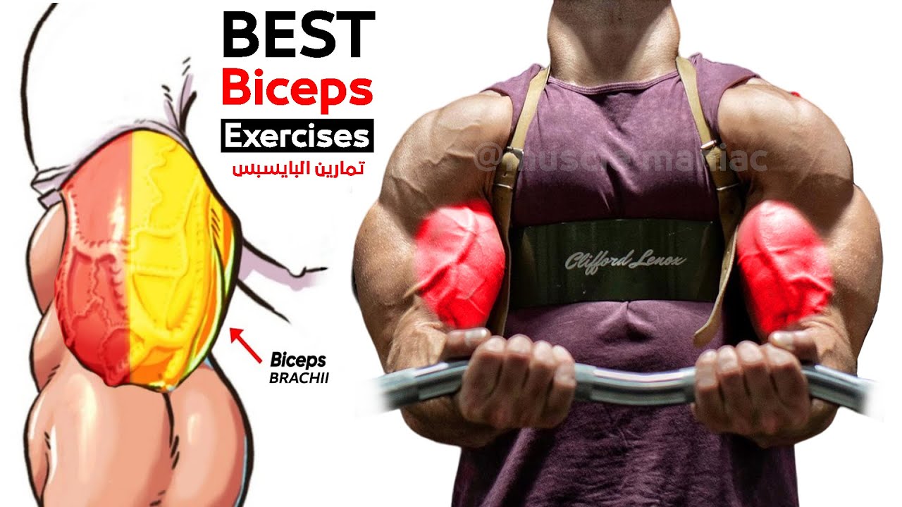 How To Build Your biceps workout Fast (6 Effective Exercises) - YouTube
