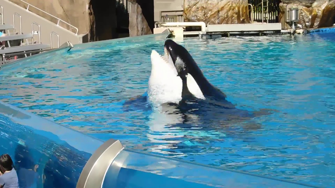 Ulises {alien} - YouTube