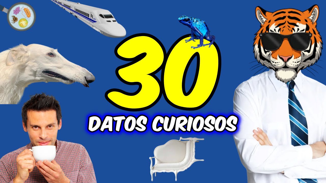 30 Cosas Que No Sabías Hace Unos Minutos | 11 - YouTube
