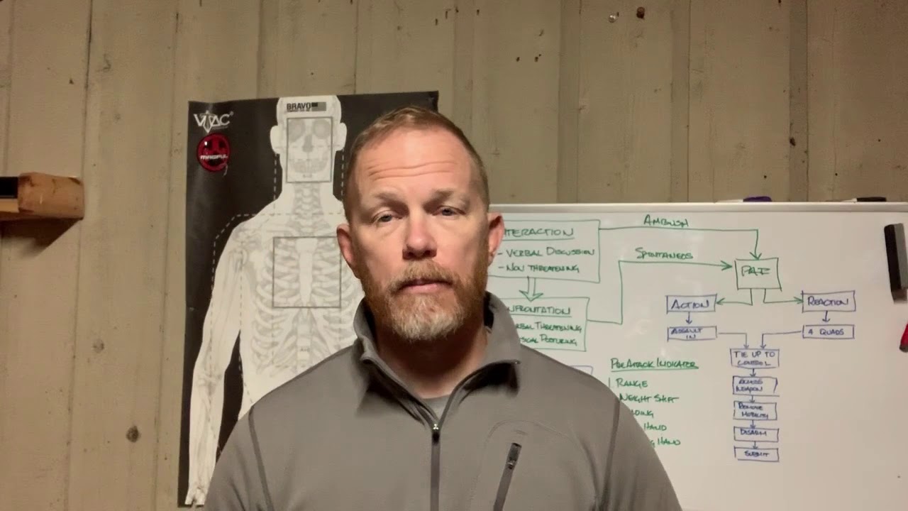 Fight Model 6 PreAttack Indicators in depth - YouTube