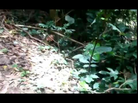 T.I.N MAGAZINE OFFICIAL TOUR TO ARINTA WATERFALLS EKITI STATE - YouTube