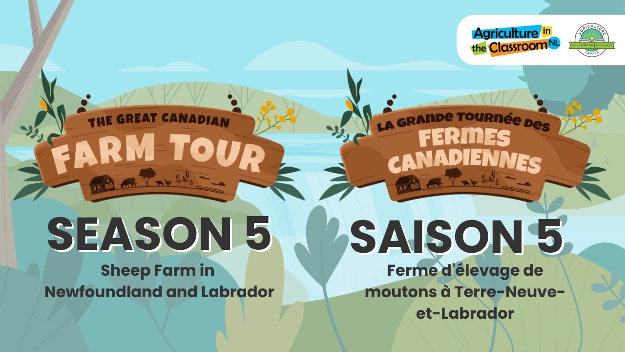 Great Canadian Farm Tour Season 5: Sheep Farm in Newfoundland - YouTube