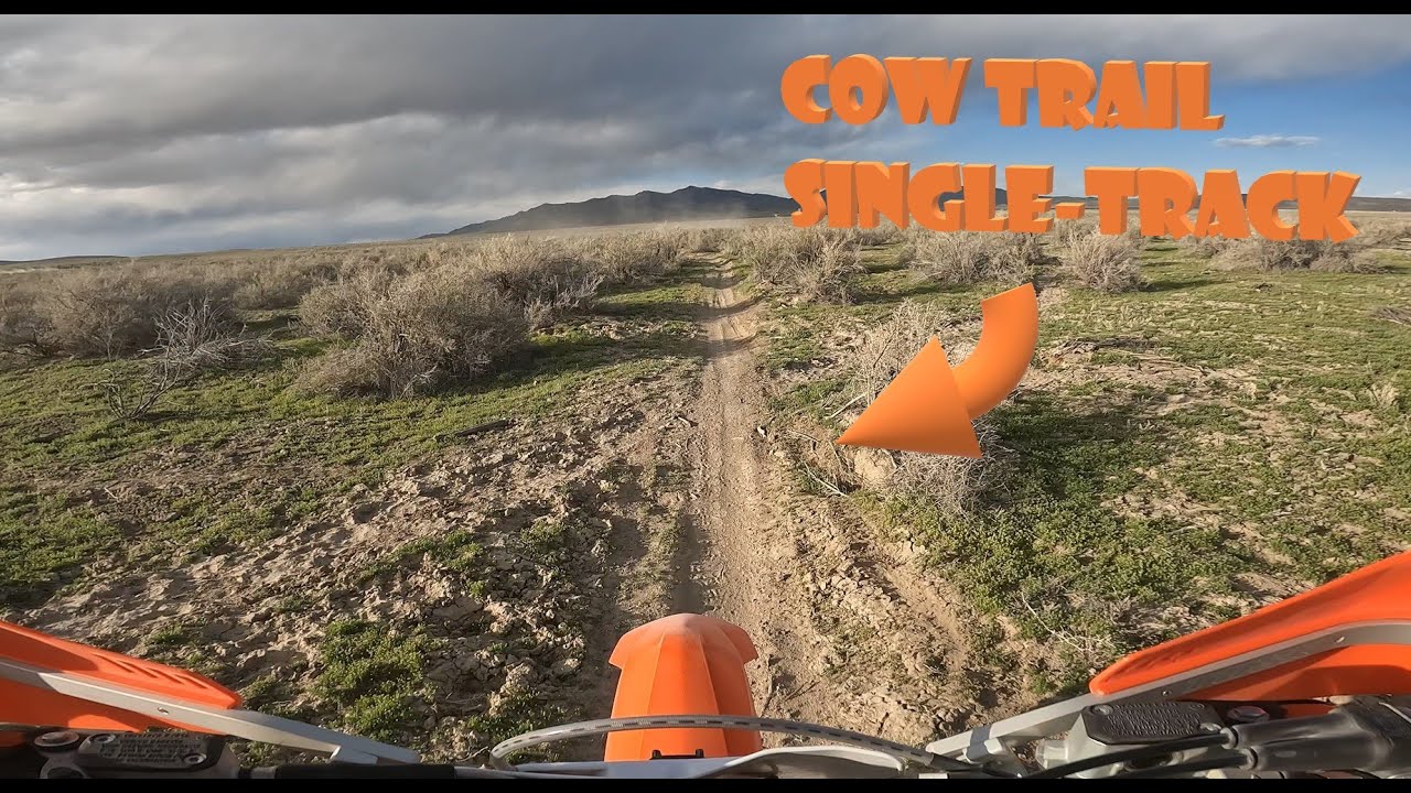 COW TRAIL SINGLETRACK P3 - YouTube
