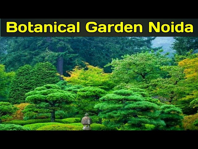 Botanical Garden Noida Timings | Fasci Garden