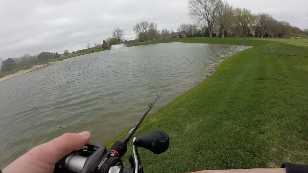 WHY DID WE GO FISHING?! Bass Fishing GOLF COURSE Ponds! - YouTube