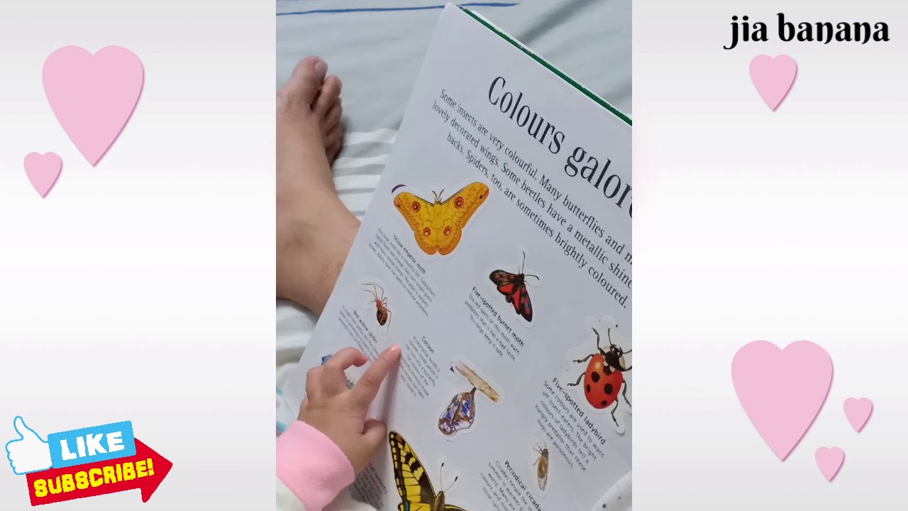 Studying Insects with Baby Jia - YouTube