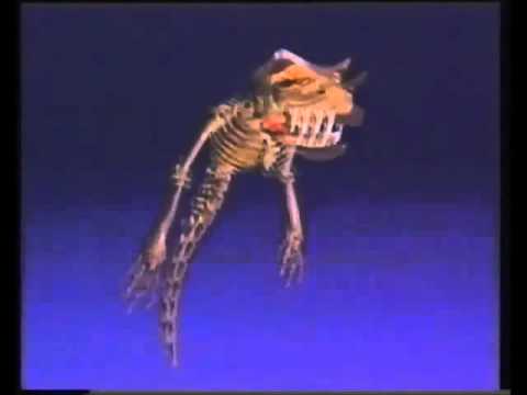 Arcade trailer Trailer 1993 (Entertainment in video) - YouTube