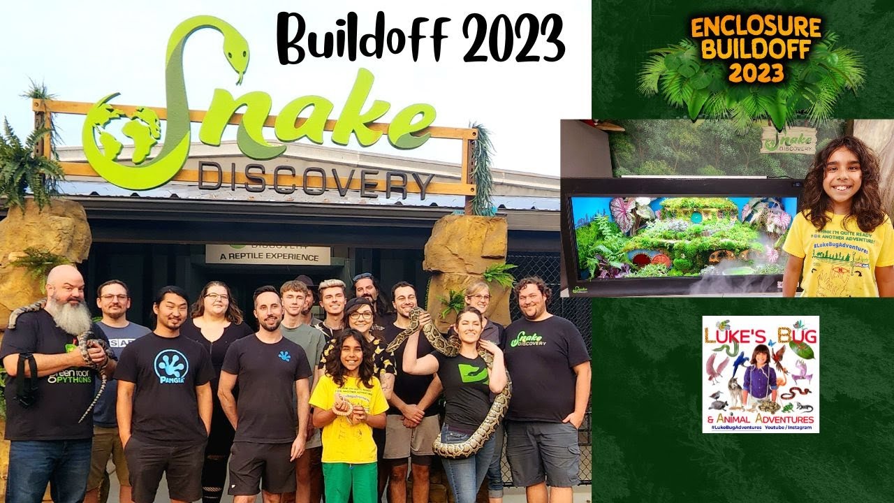 2023 SNAKE DISCOVERY! BUILDOFF! Making my LORD OF THE RINGS- HOBBIT ...