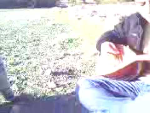 Kurtalan--Ruzgaroo-(Bu Evar)