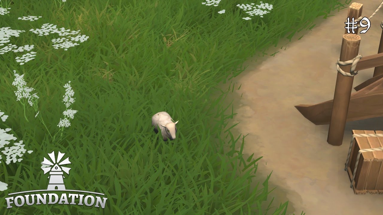Revisiting: Foundation 1.0 - Our first sheep! #9 - YouTube
