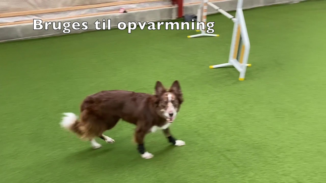 Back on track - YouTube