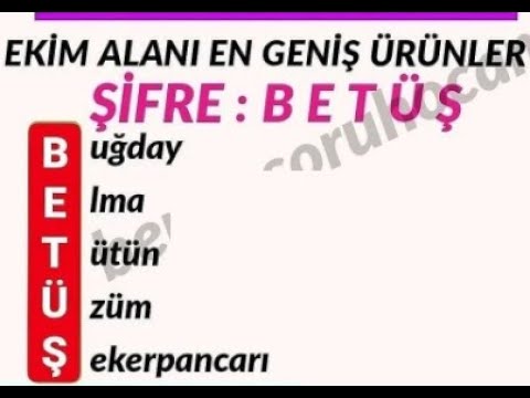 #coğrafya 55 konu  Şifreleri Kodları