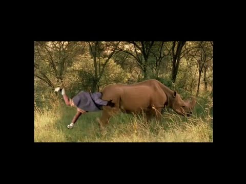 A Black Man's Head Stuck in Rhino's Butt
