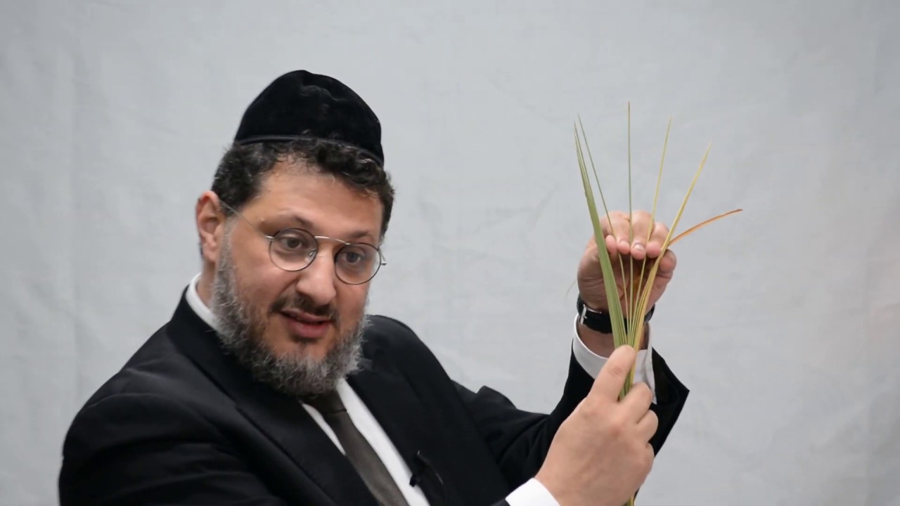 Comment choisir son "loulav" - en pratique ! - YouTube