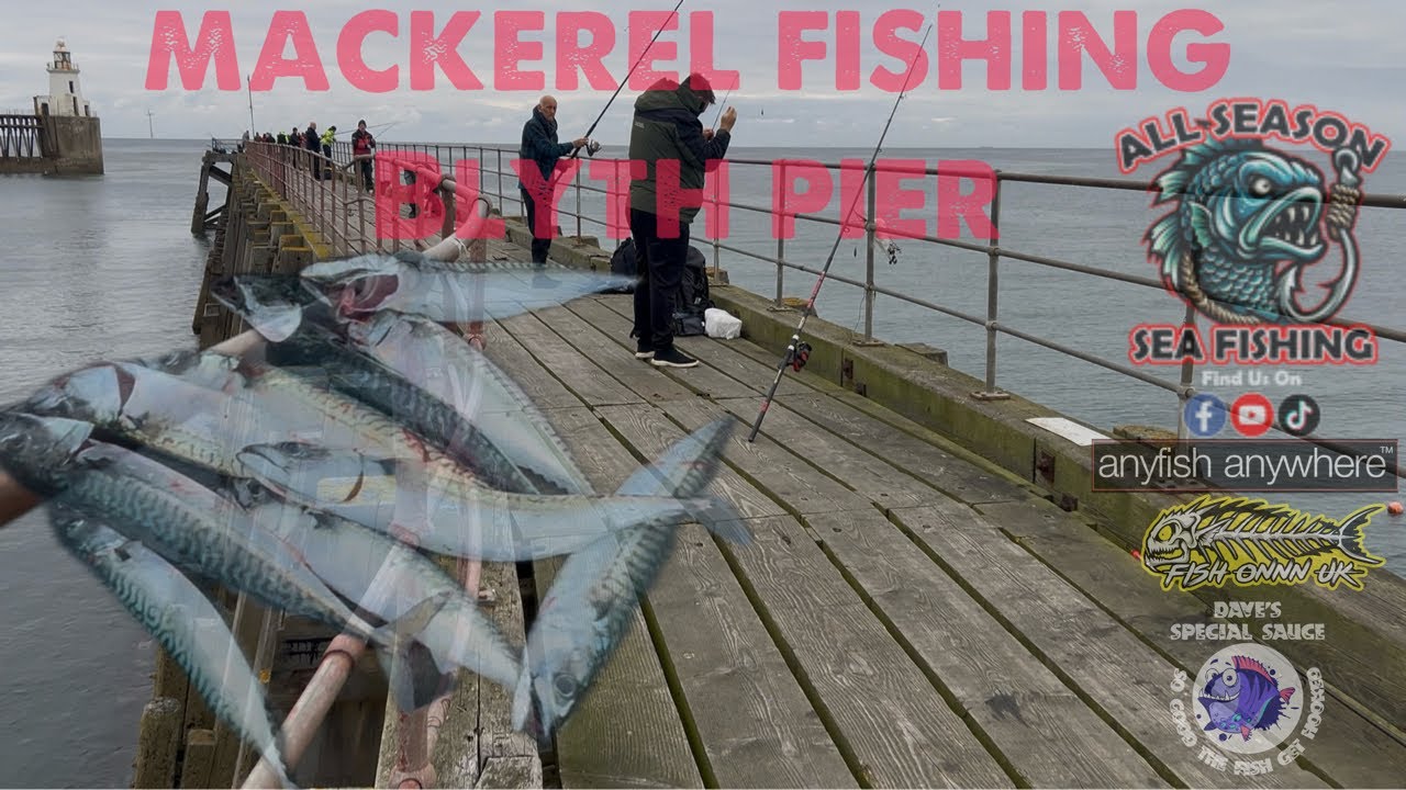 Mackerel fishing | Blyth pier | Northumberland - YouTube