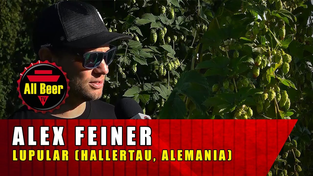 LUPULAR Alex Feiner - Hallertau, Alemania | All Beer TV - YouTube