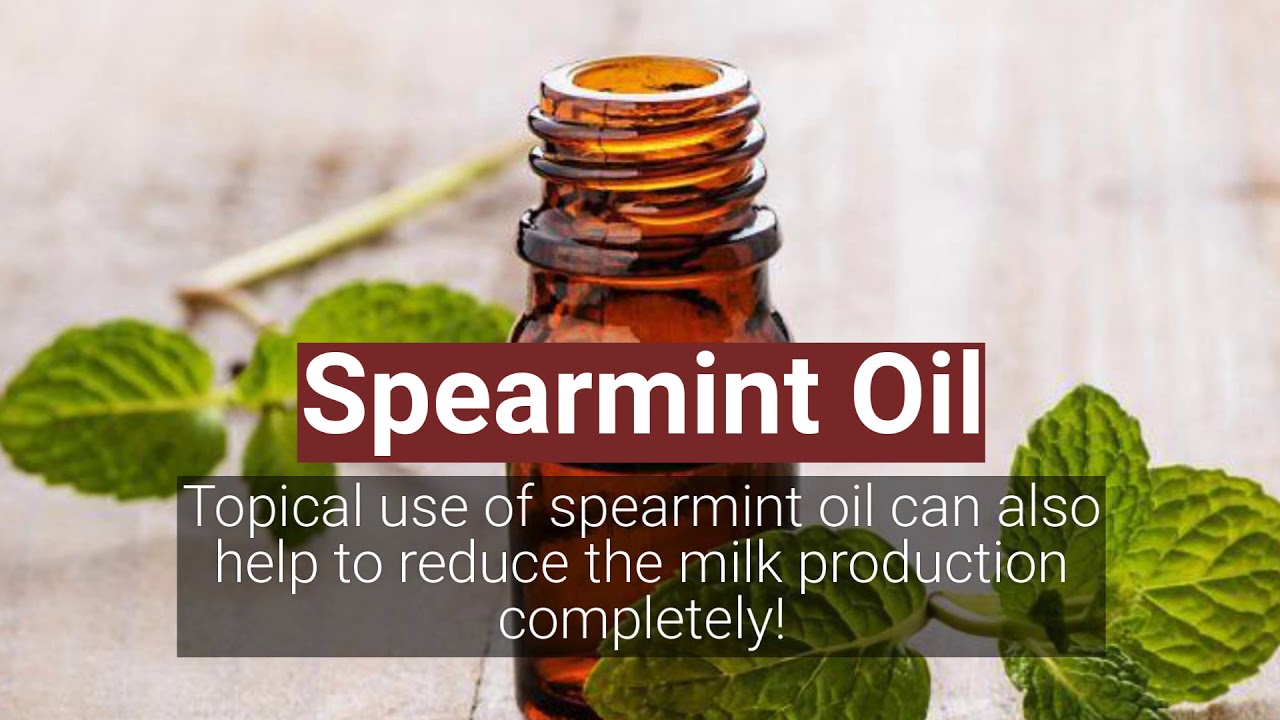 7 Essential Oils To Decrease Milk Supply Youtube 9971