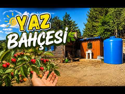KÖYDE YAZ BAHÇEMİZİN İLK ÜRÜNLERİ BAŞLADI - MEYVELERİMİZİ TOPLADIK 3 TON SU DEPOSU ALDIK #köyhayatı