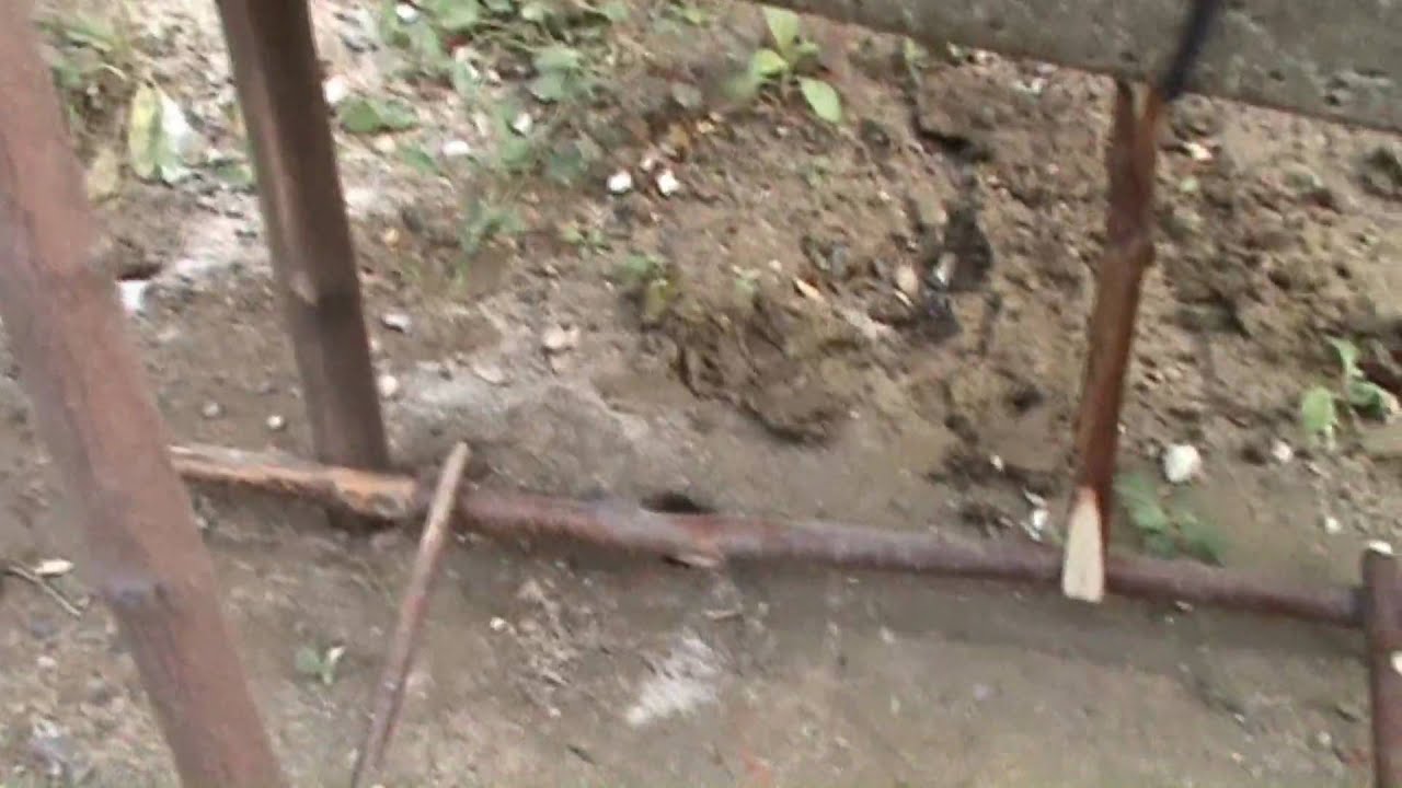 Deadfall Trap - YouTube