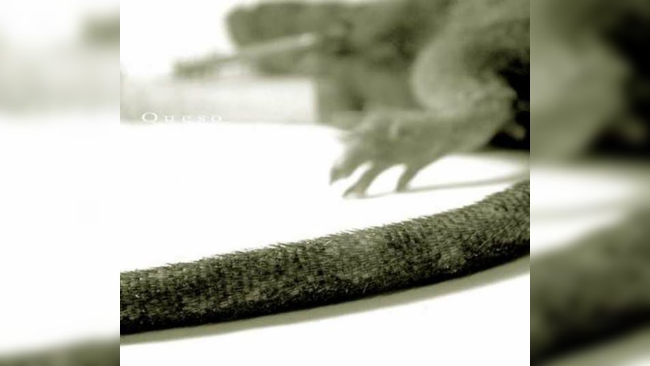 Queso - Queso (2006)(Full Album) - YouTube