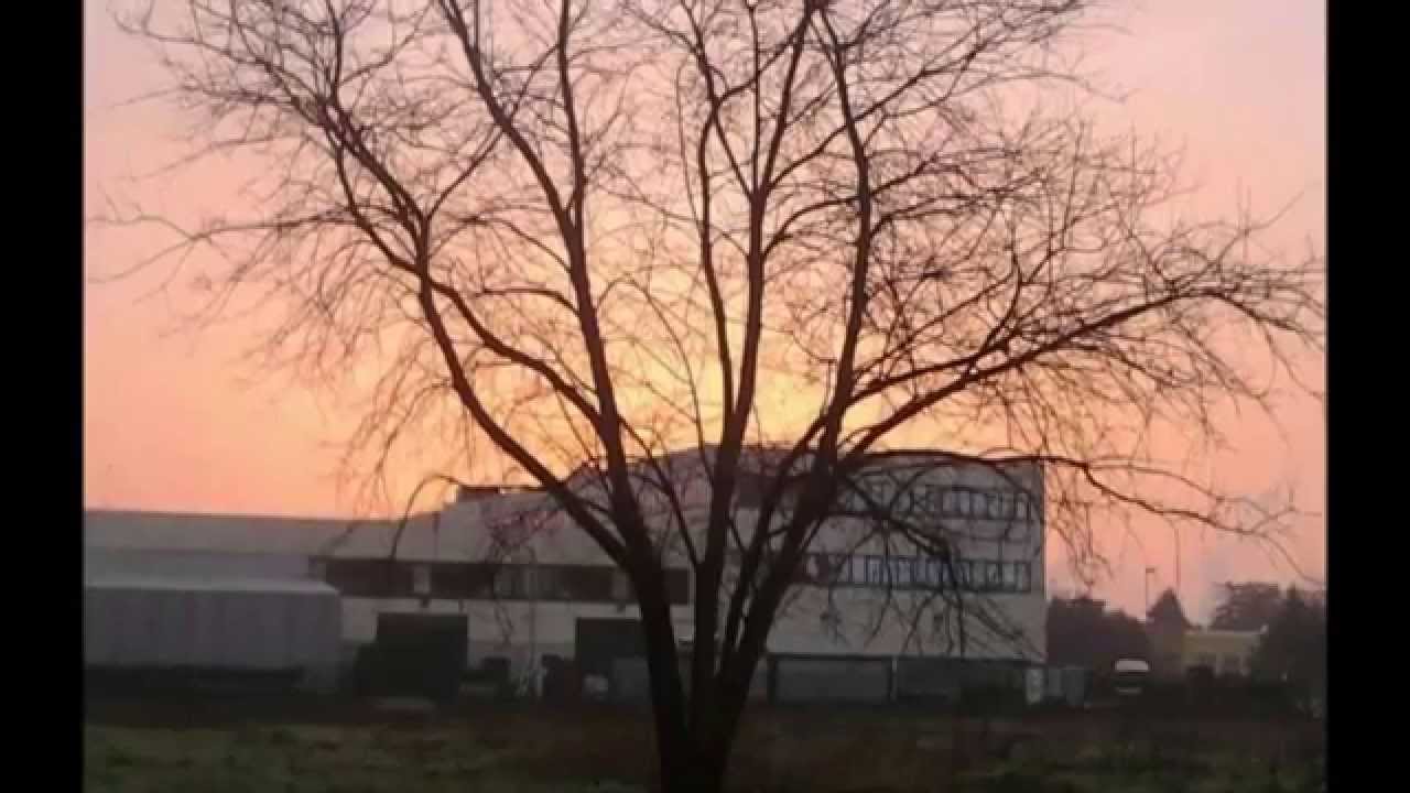 Dragos Rusu - Solitudine - YouTube