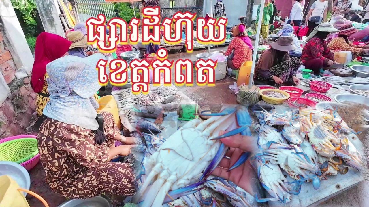 Fresh Ocean market-Cambodian Local market at countryside- Kampot ...