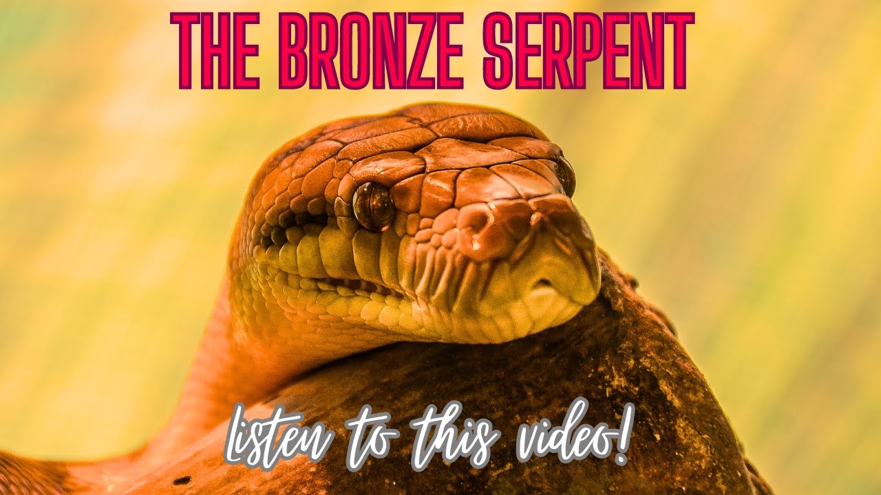 Numbers 21:4-9 - The Bronze Serpent - YouTube