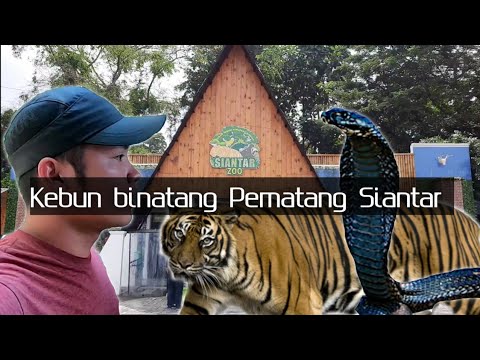 EXPLORE SIANTAR ZOO || TAMAN HEWAN PEMATANG SIANTAR SUMUT - YouTube