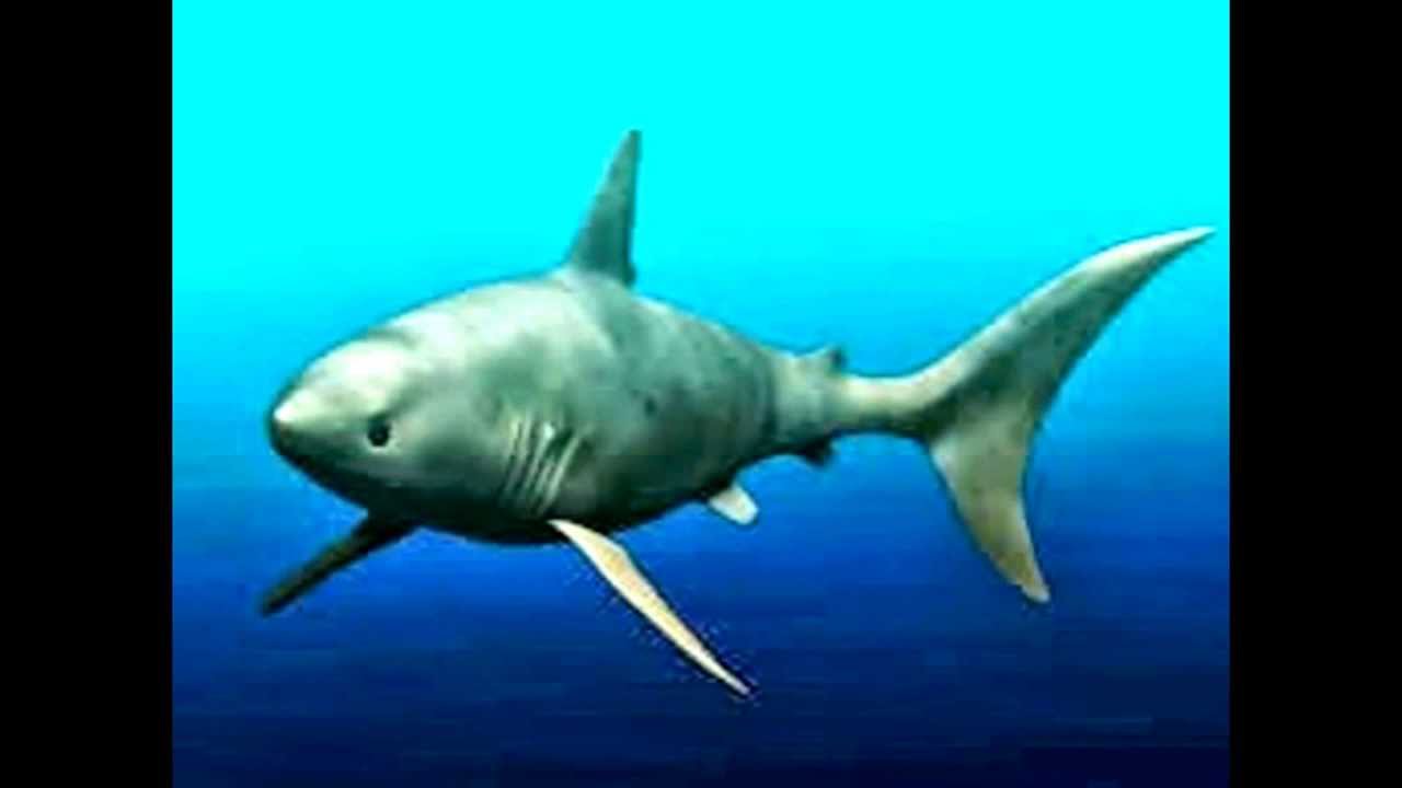 Deformed Dinosaur Bones/Fossils - YouTube