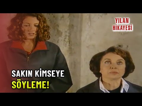 Belgin, Zeyno'ya Kral'ı Anlatıyor! - Yılan Hikayesi 41.Bölüm