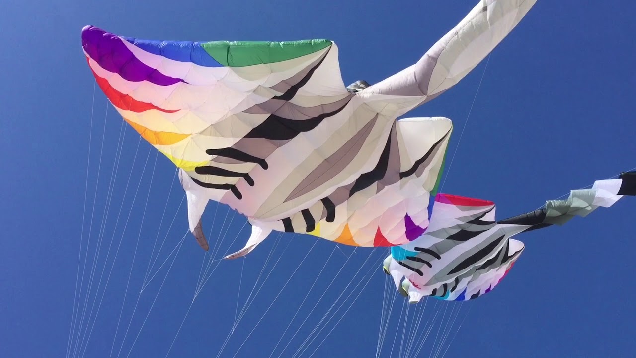 Manta Kites - YouTube