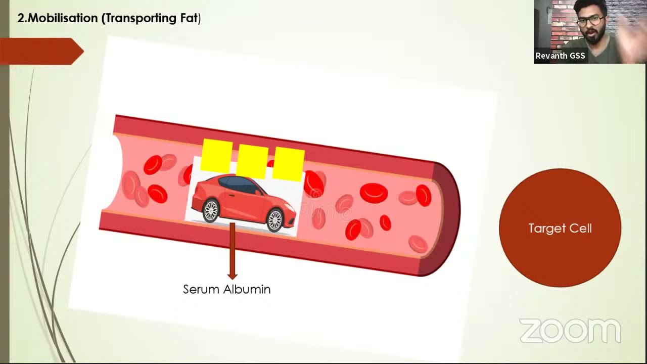 Science Behind Fat loss | Weight Loss | Healthy weight loss | Autophagy ...