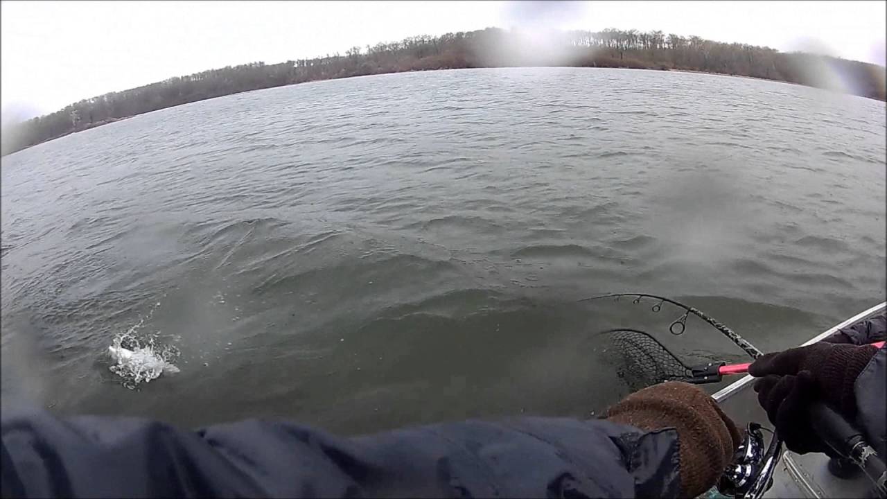 50th Master Angler fish! - YouTube