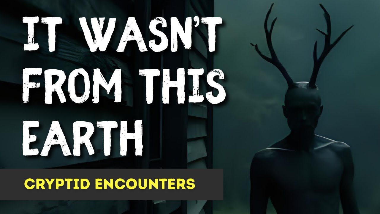CREEPY cryptid sightings and encounters from reddit - YouTube