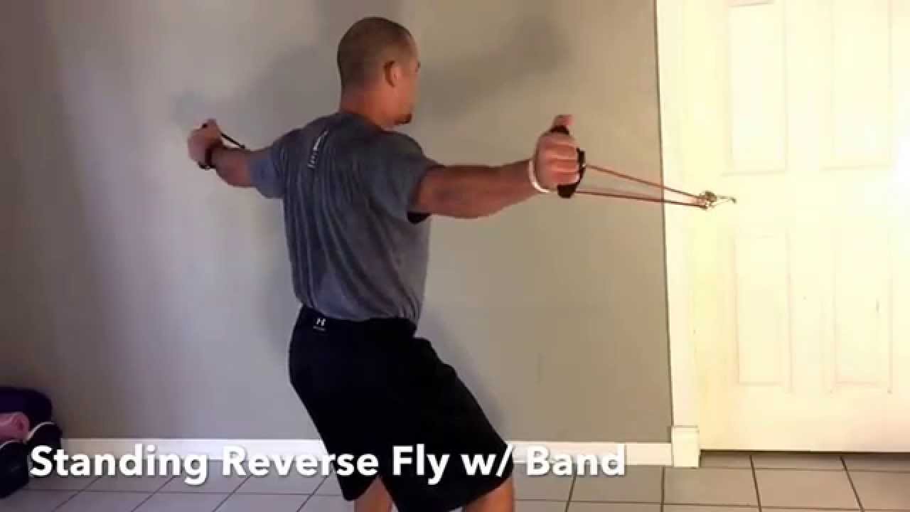 Standing Reverse Fly w/ Band - YouTube
