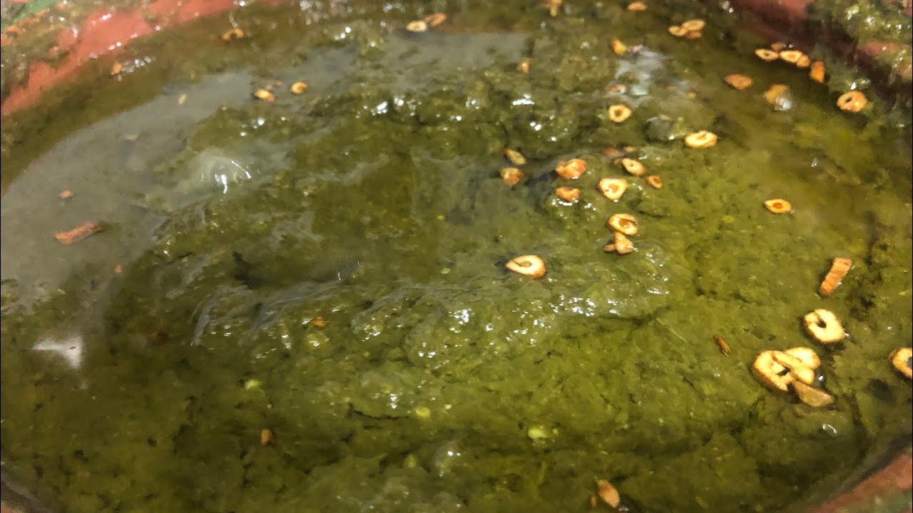 Saag Recipe| Saag Ki Sabzi |Saag Ki Sabji | Sarson Ka Saag #food # ...