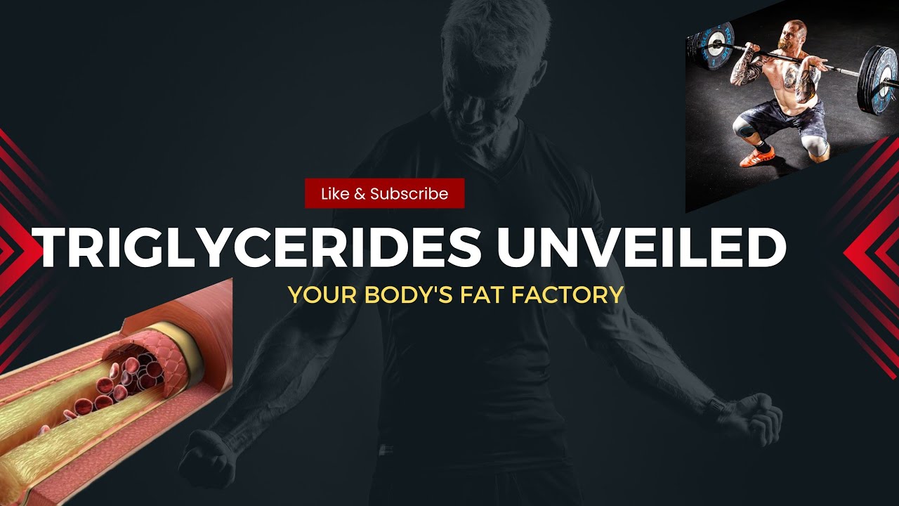 Triglycerides Unveiled | Your Body's Friend Or Enemy | Fat Factory ...