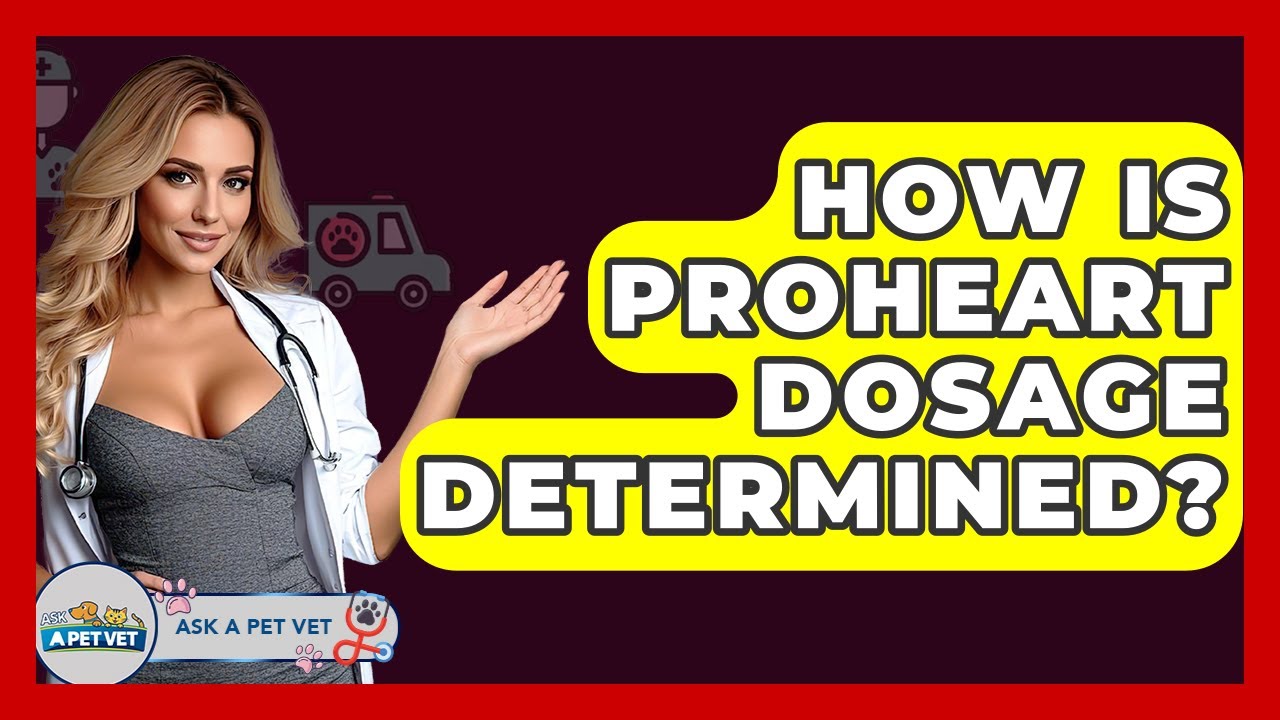How Is ProHeart Dosage Determined? - Ask A Pet Vet - YouTube