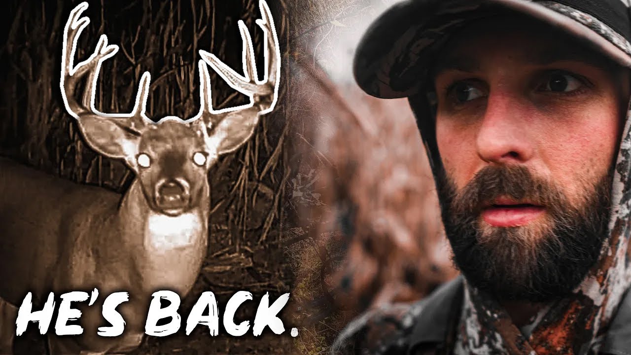 150" MICHIGAN BUCK at 20 yards.....is he down!? - YouTube