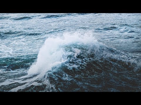 Marcus Warner - Osprey - YouTube