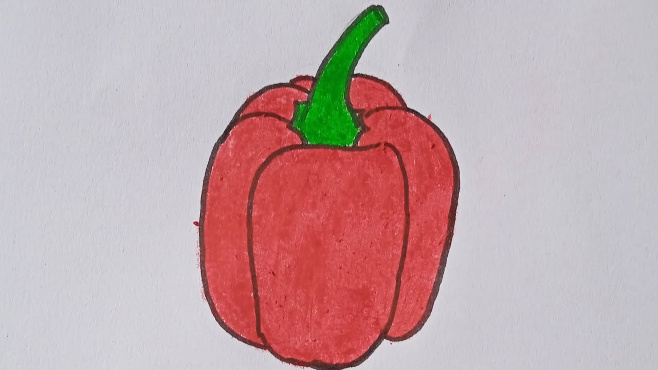 How to draw a Capsicum/Capsicum drawing and colouring/Capsicum drawing ...