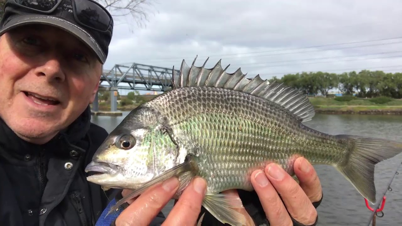 Small scale game fishing (IN THE BURBS) - YouTube